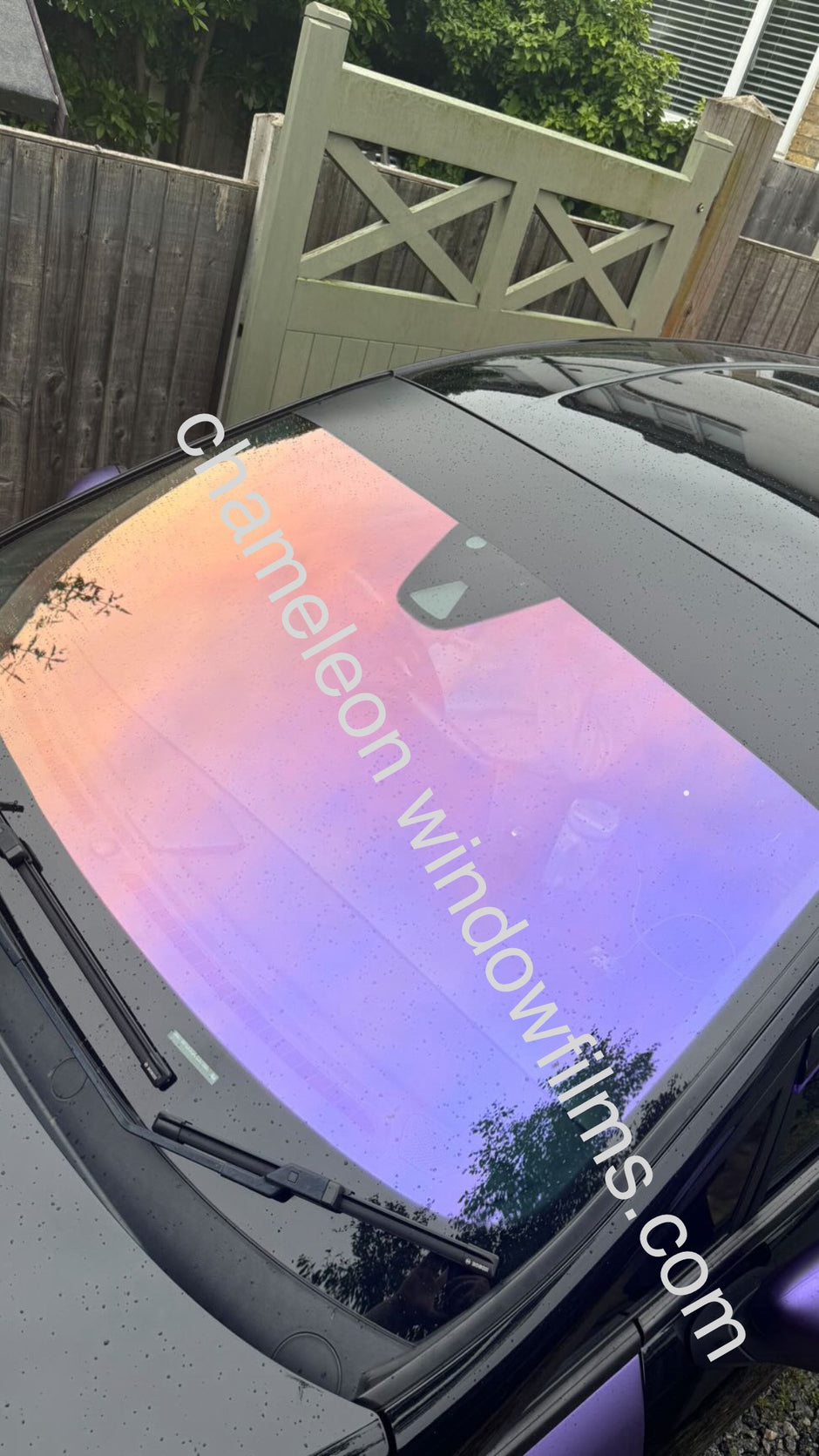 Chameleon Window Films